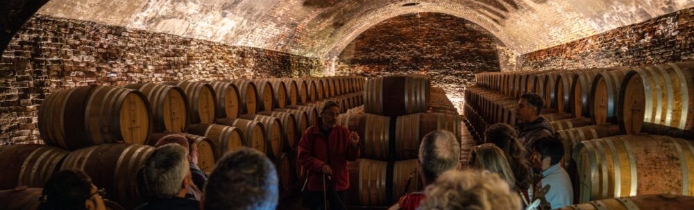 Autunno da gustare: Langhe, Monferrato e Roero celebrano sapori ...
